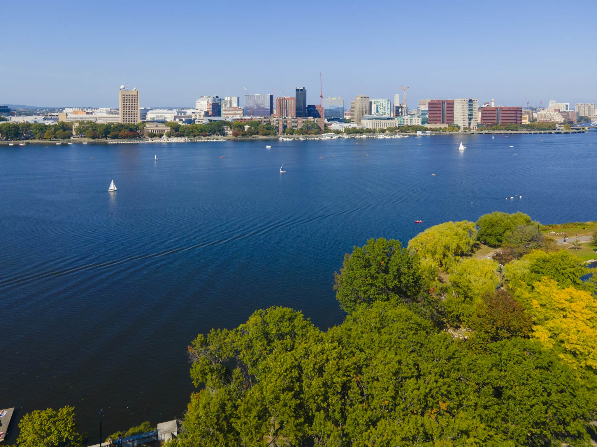 Castor Ventures - Alumni Ventures