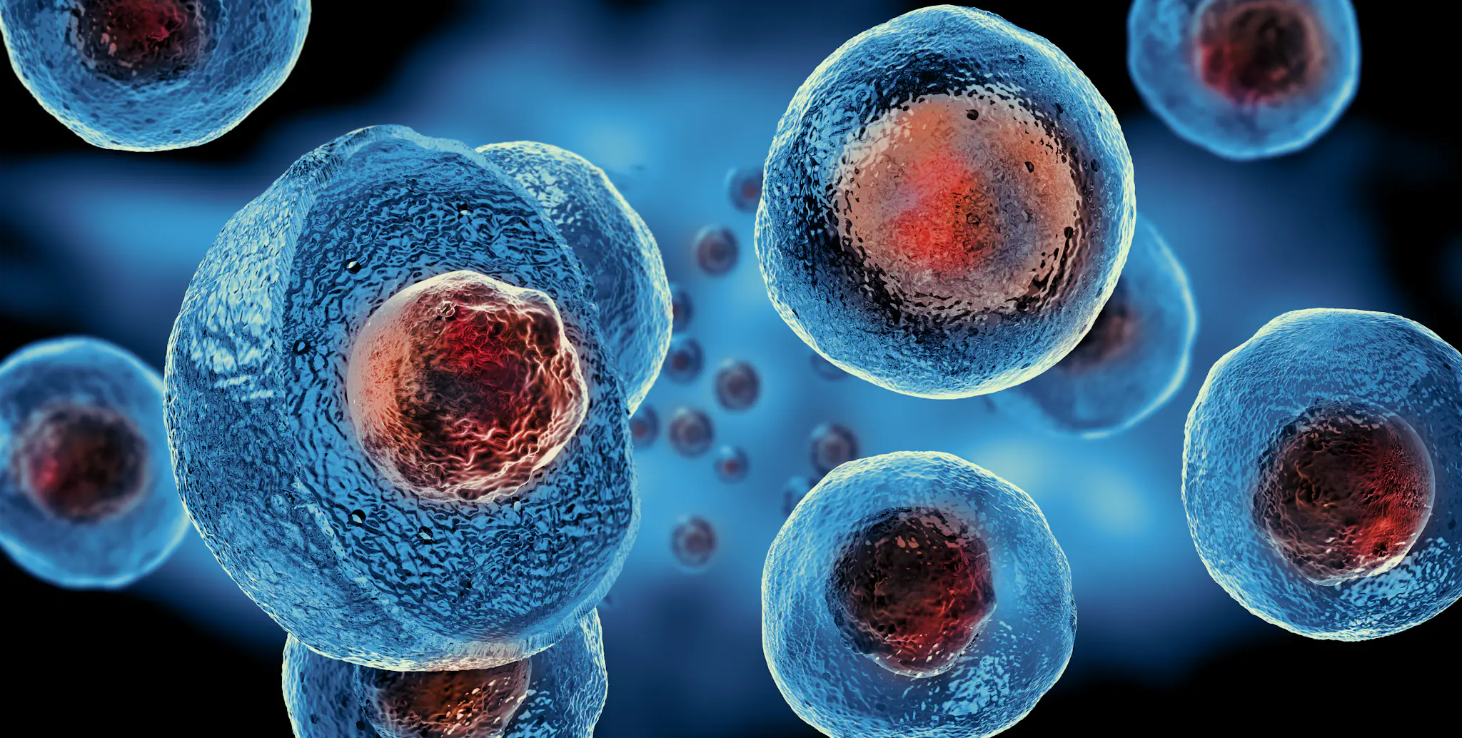 Ossium Health: Streamlining Stem Cell Therapies - Alumni Ventures