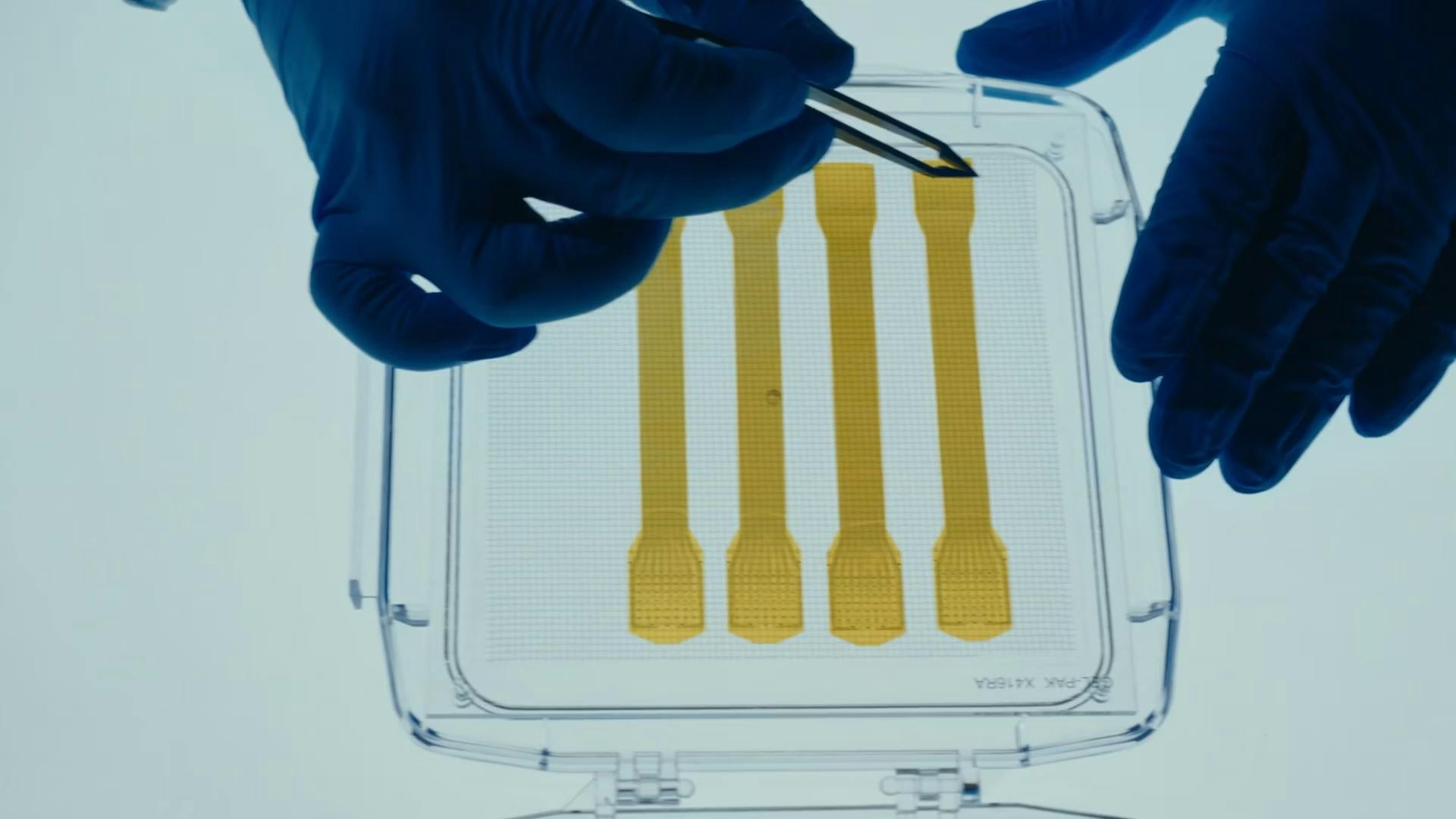 Alumni Ventures Features Precision Neuroscience - Alumni Ventures